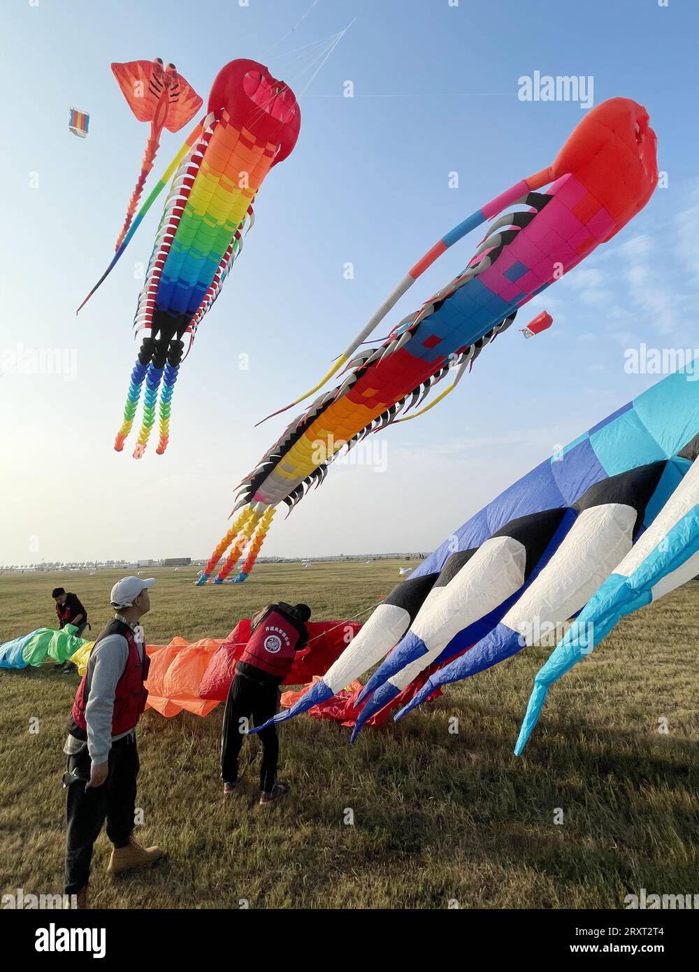 The 2023 Weifang International Kite Carnival opens in Weifang City ...