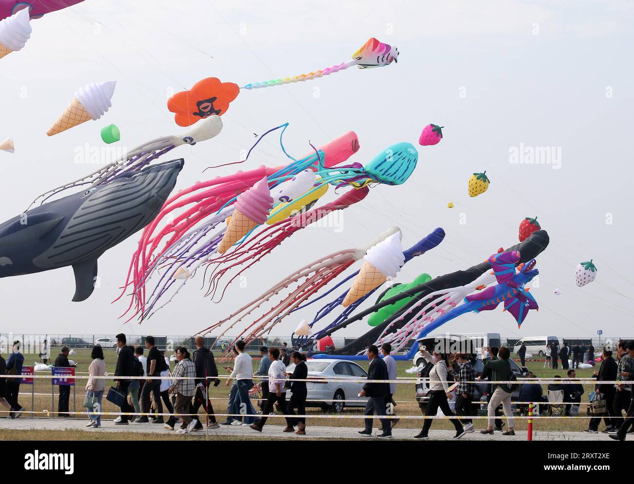 The 2023 Weifang International Kite Carnival opens in Weifang City ...