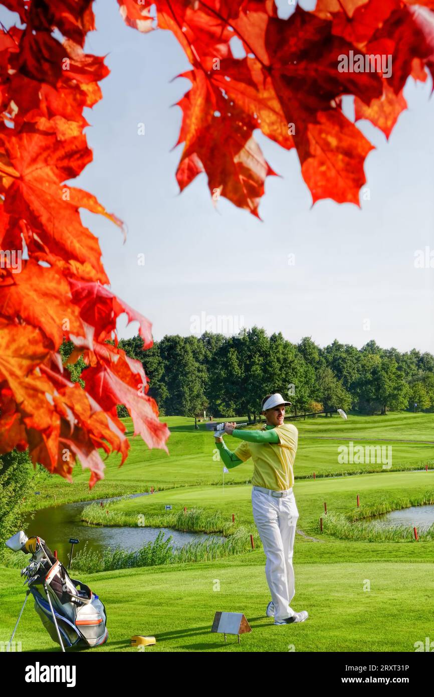 Red autumn leaves golf course hi-res stock photography and images - Alamy