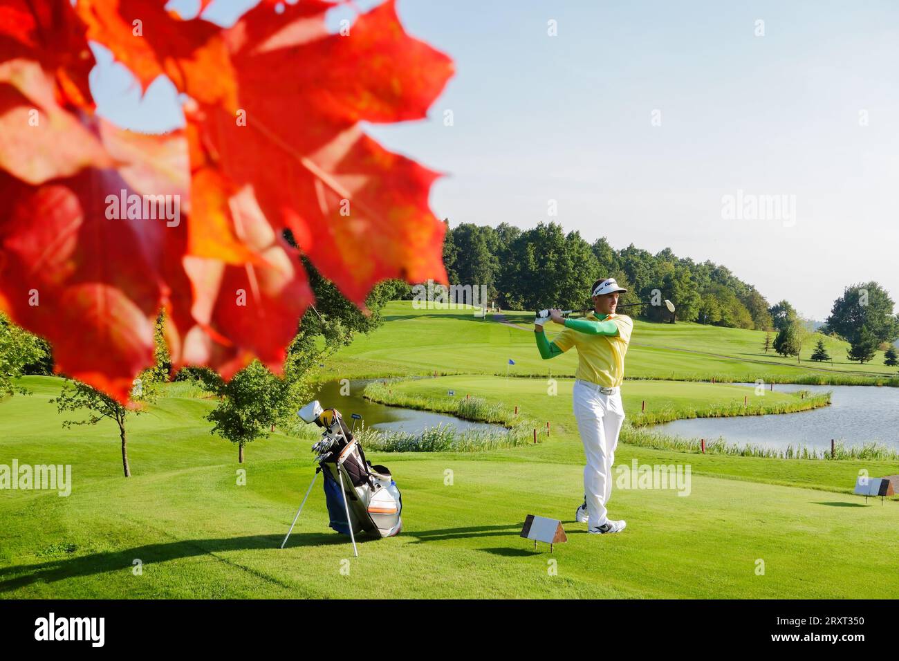 Red autumn leaves golf course hi-res stock photography and images - Alamy