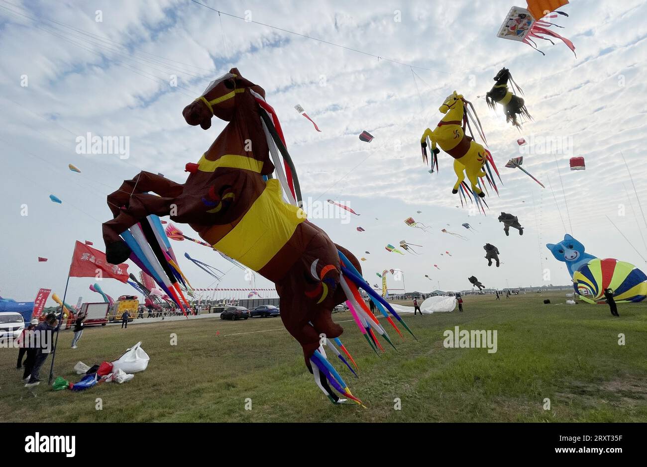 The 2023 Weifang International Kite Carnival opens in Weifang City ...