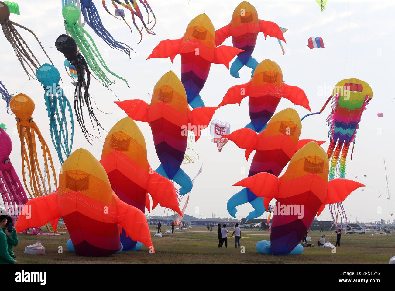 The 2023 Weifang International Kite Carnival opens in Weifang City ...