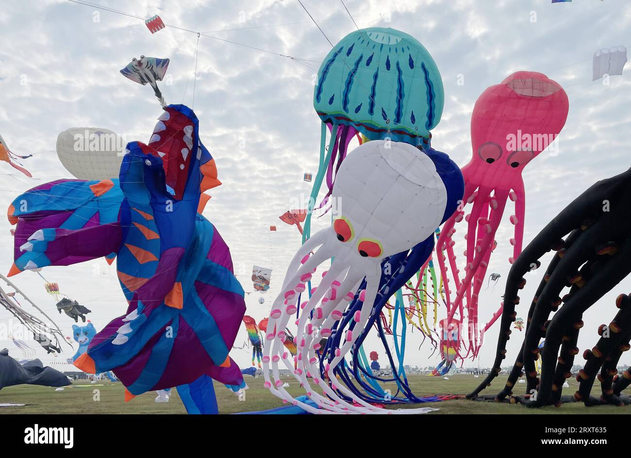 The 2023 Weifang International Kite Carnival opens in Weifang City ...