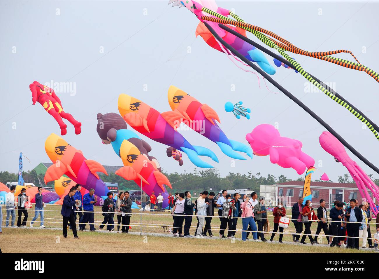 The 2023 Weifang International Kite Carnival opens in Weifang City ...