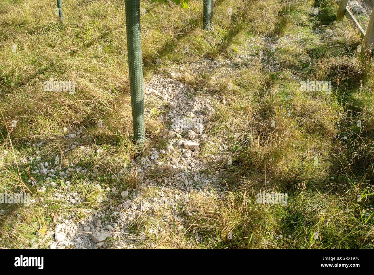 Diggers gully hi-res stock photography and images - Alamy