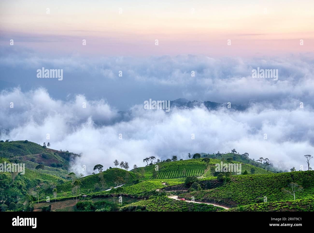 A fresh late afternoon at Heavens Park (Taman Langit) of Pangalengan ...