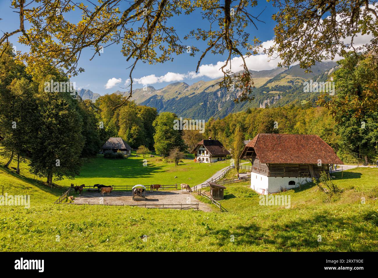 Freilichtmuseum ballenberg hi-res stock photography and images - Alamy