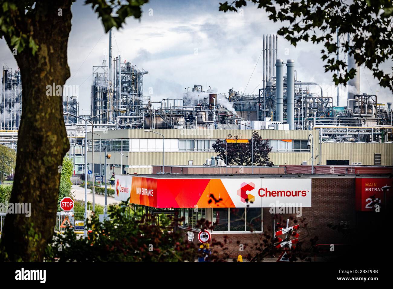 Pfas plant hi-res stock photography and images - Alamy