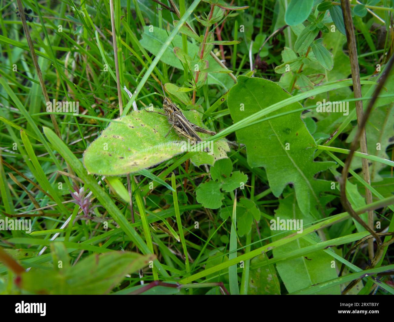 Intimate landscape portrait of the environmentally critical The Surrey ...
