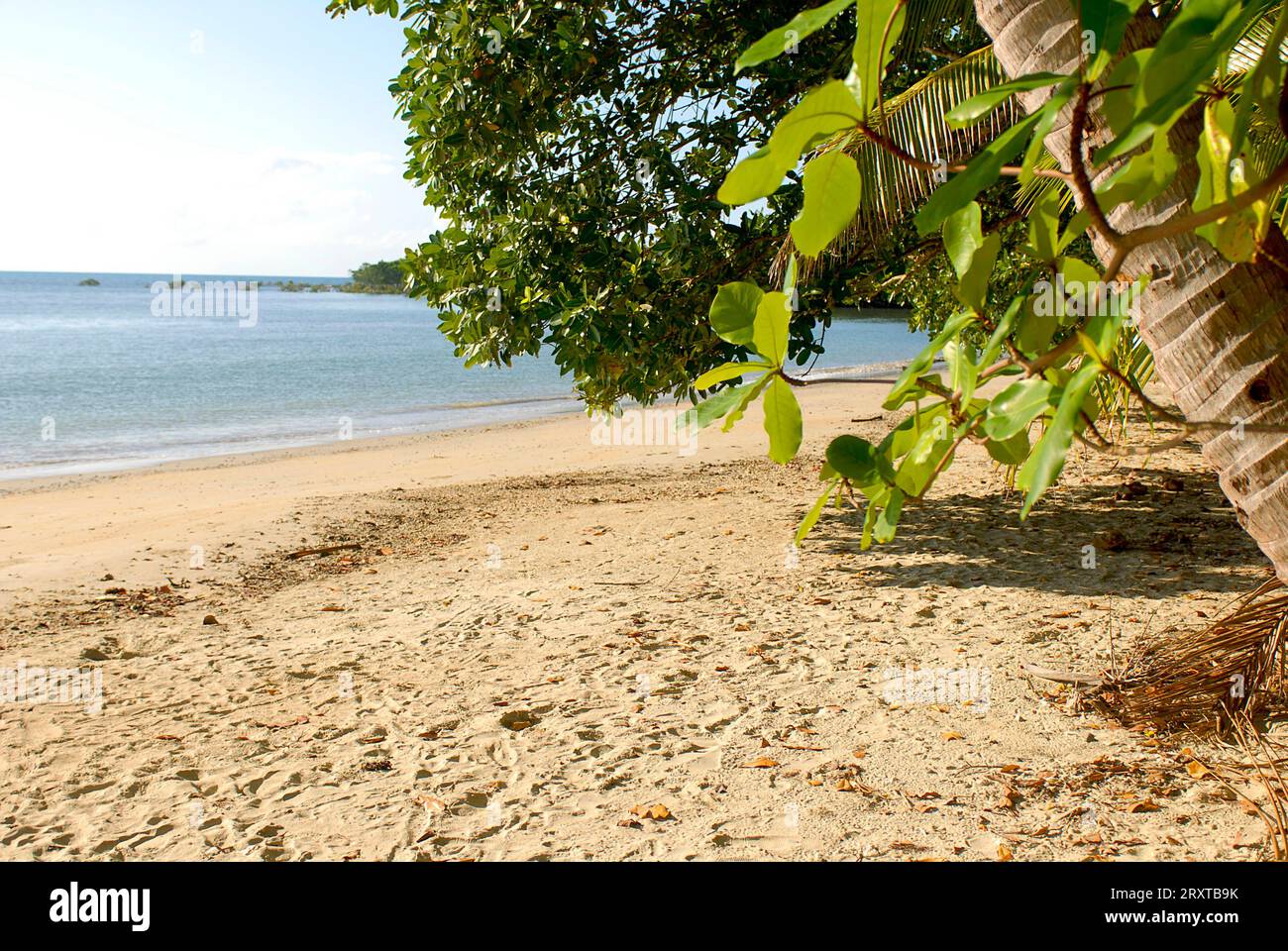 Sandstrand am Cape Tribulation, Queensland *** Sandy beach at Cape ...