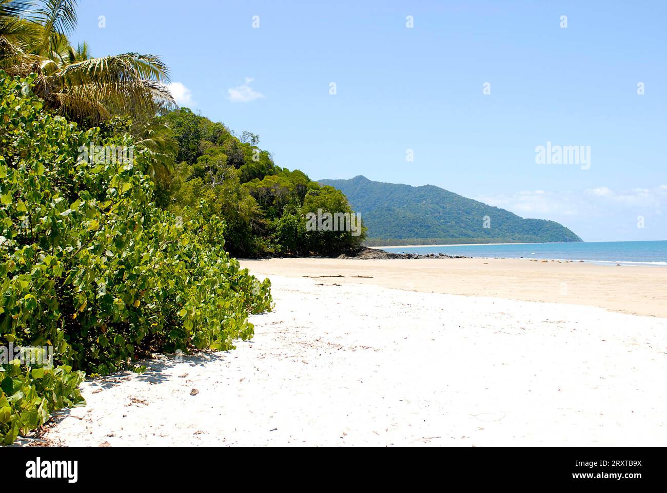Sandstrand am Cape Tribulation, Queensland *** Sandy beach at Cape ...