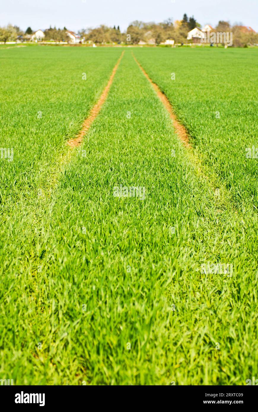 Ackerbau, BLF *** Arable farming, BLF 08003664 x Stock Photo - Alamy