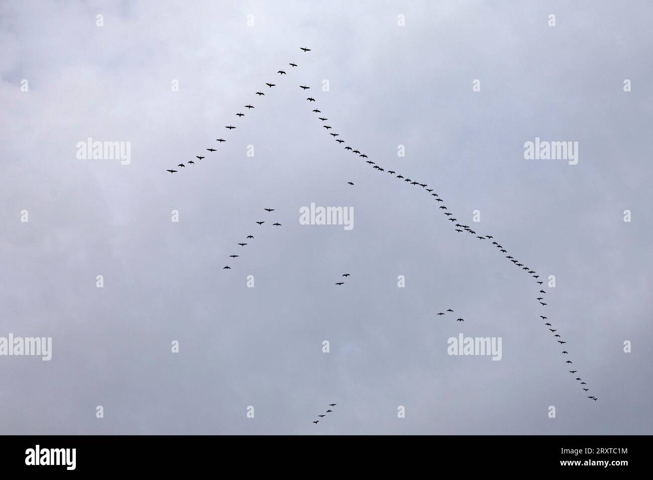 Holyrood Park, Edinburgh, Scotland, UK. 27 September 2023. Calm before ...