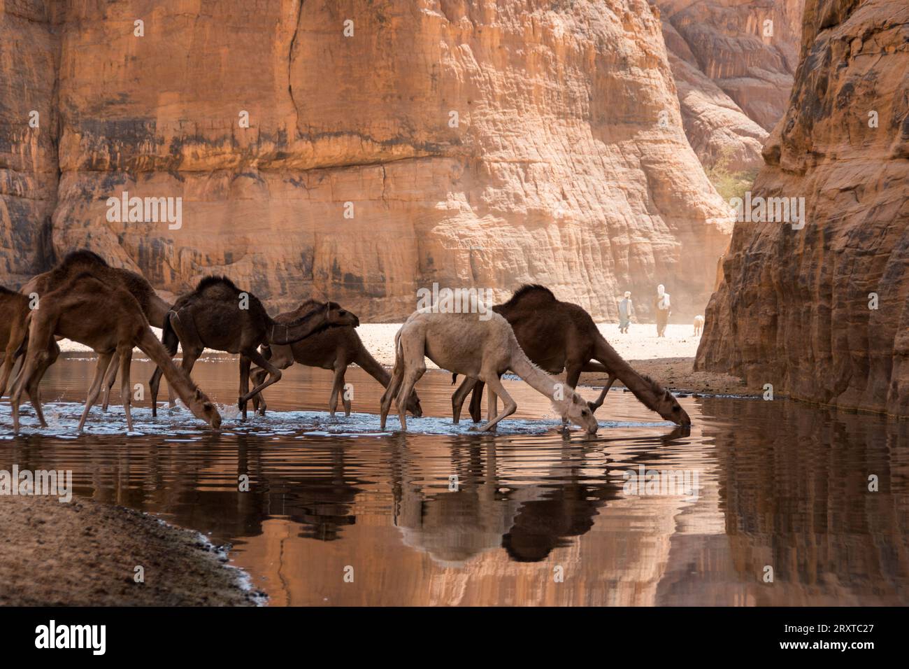 The amazing Ennedi desert, Chad, Africa Stock Photo - Alamy