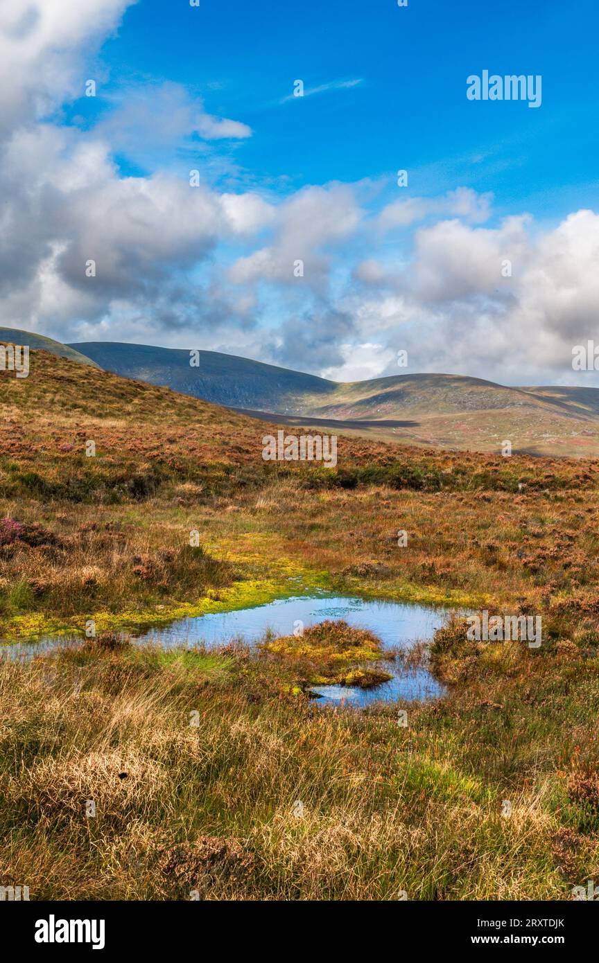 Cairnsmore of Fleet from the Clints of Dromore, Dumfries and Galloway ...