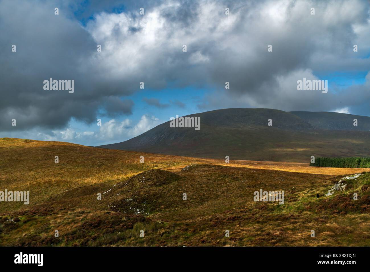 Cairnsmore of Fleet seen from The Clints of Dromore, Dumfries and ...