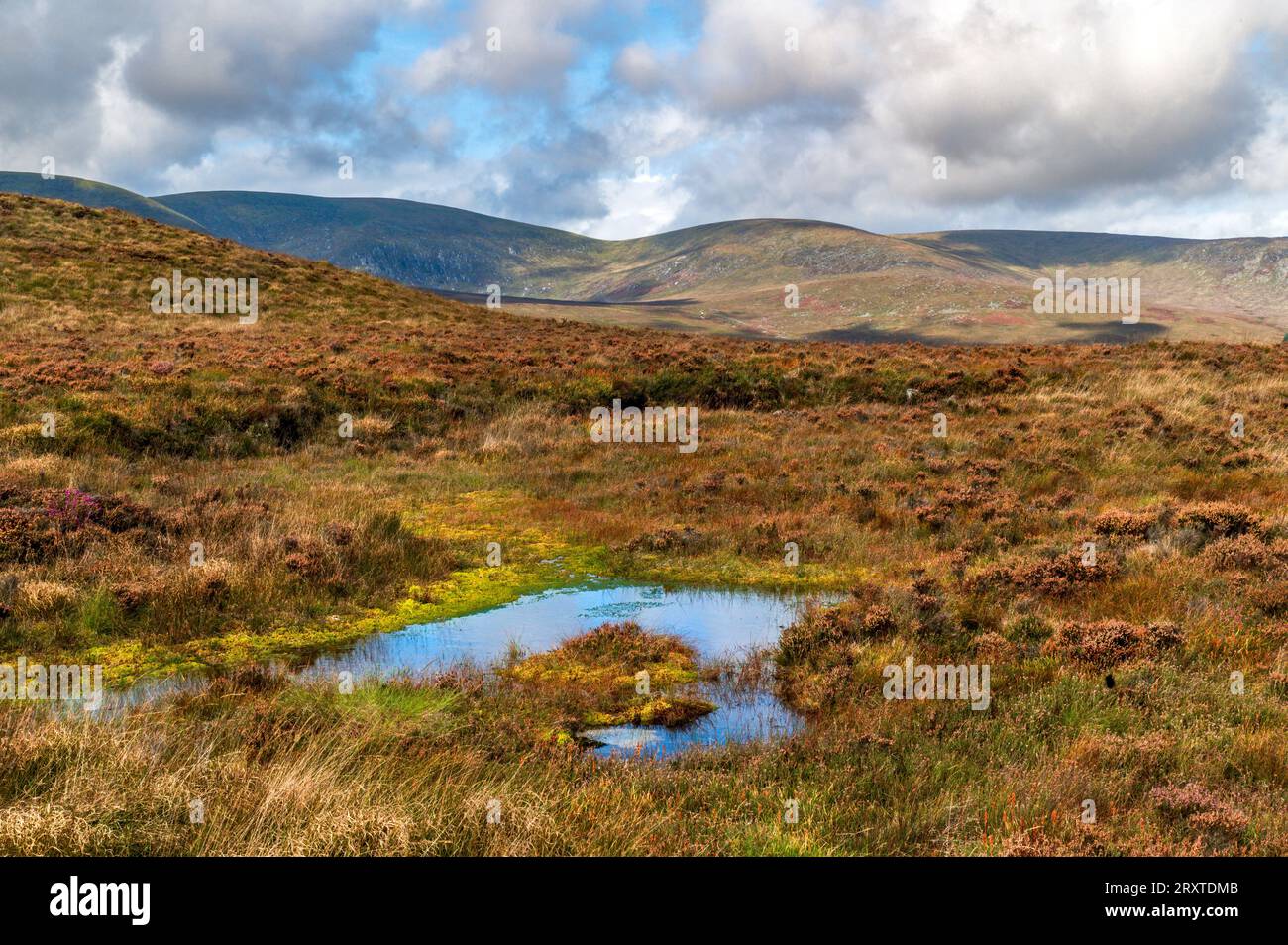 Cairnsmore of Fleet from the Clints of Dromore, Dumfries and Galloway ...