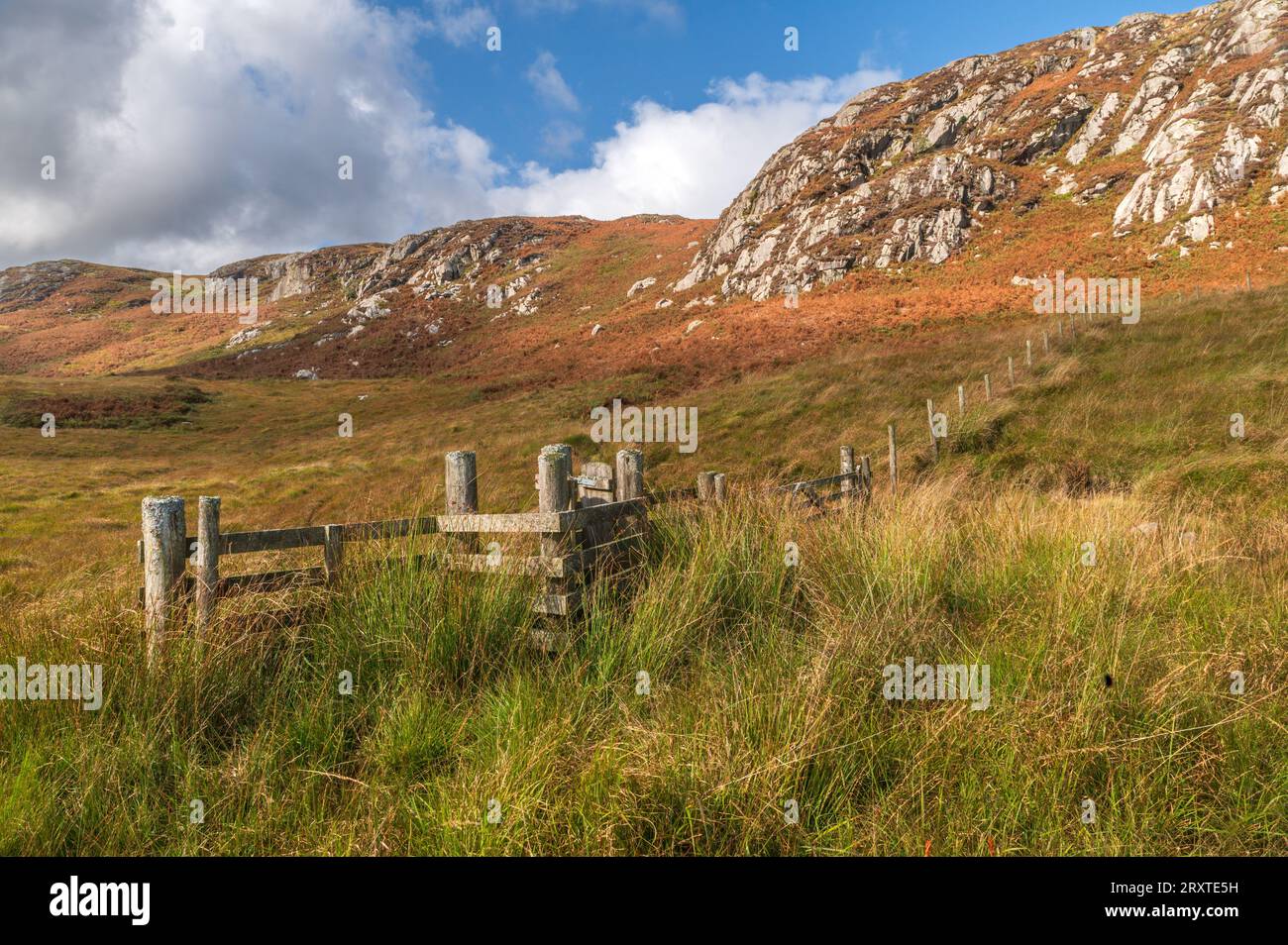 The Clints of Dromore in the Cairnsmore of Fleet National Nature ...