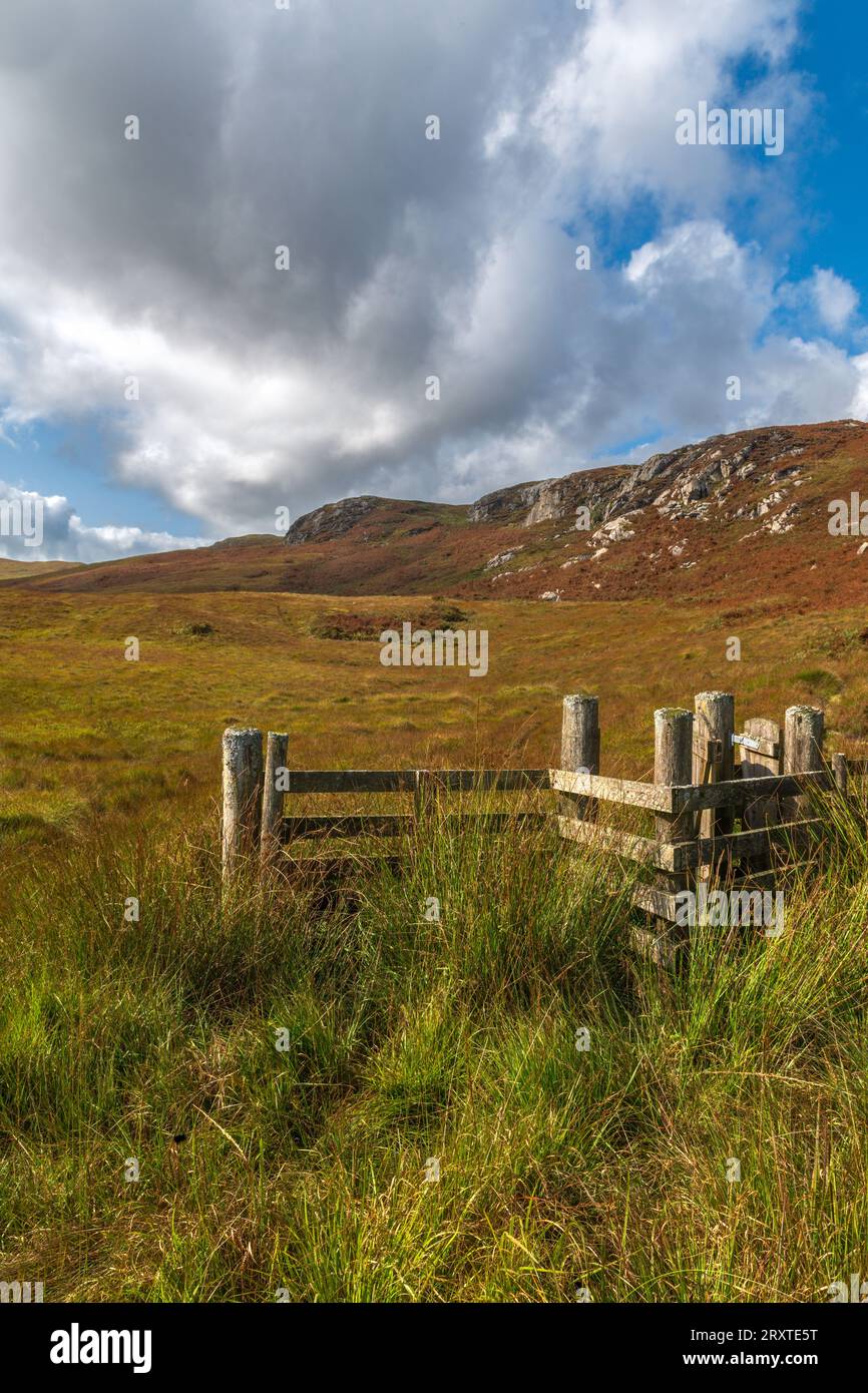 The Clints of Dromore in the Cairnsmore of Fleet National Nature ...