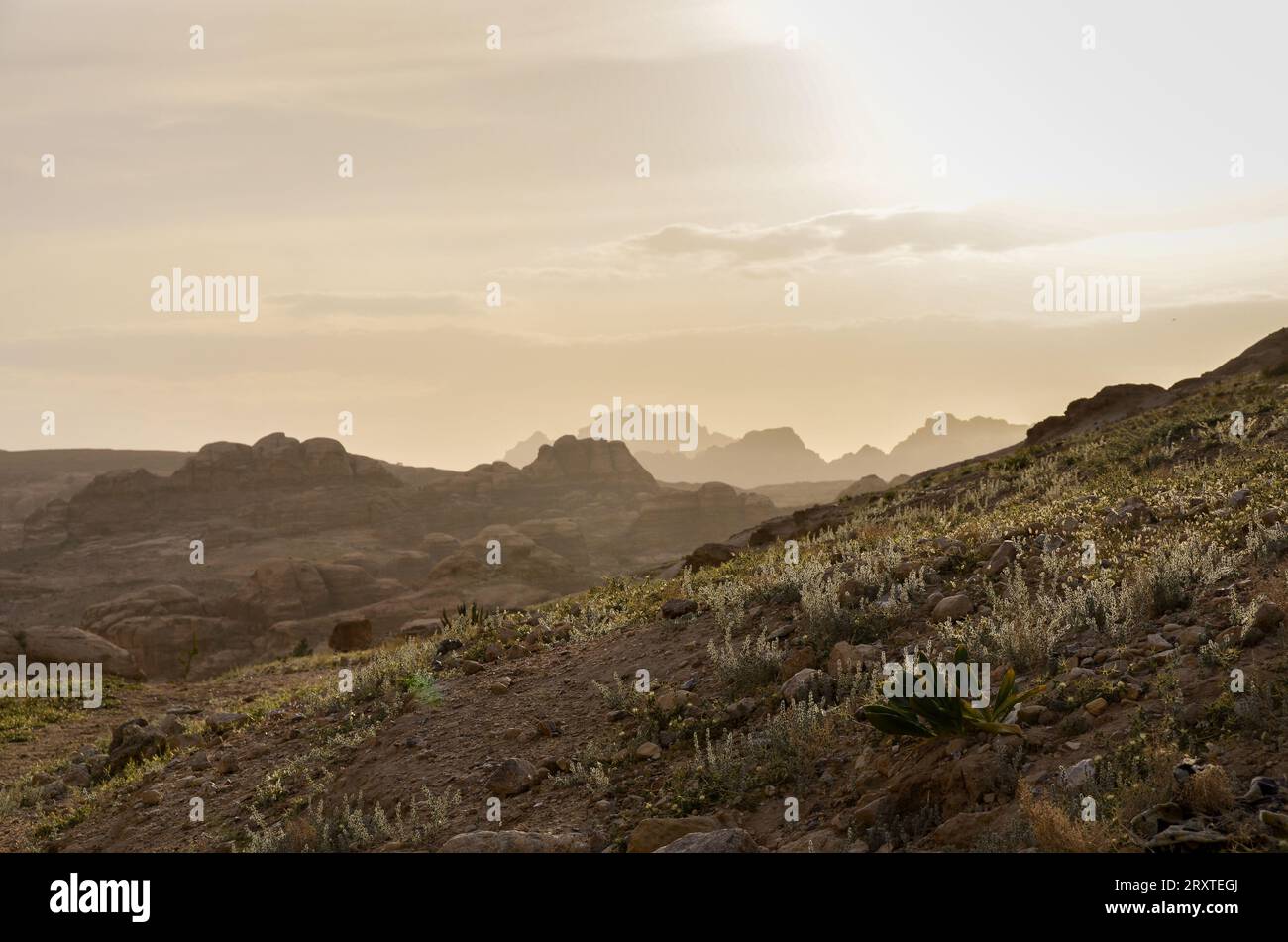 Wadi Rum desert, Jordan Stock Photo - Alamy