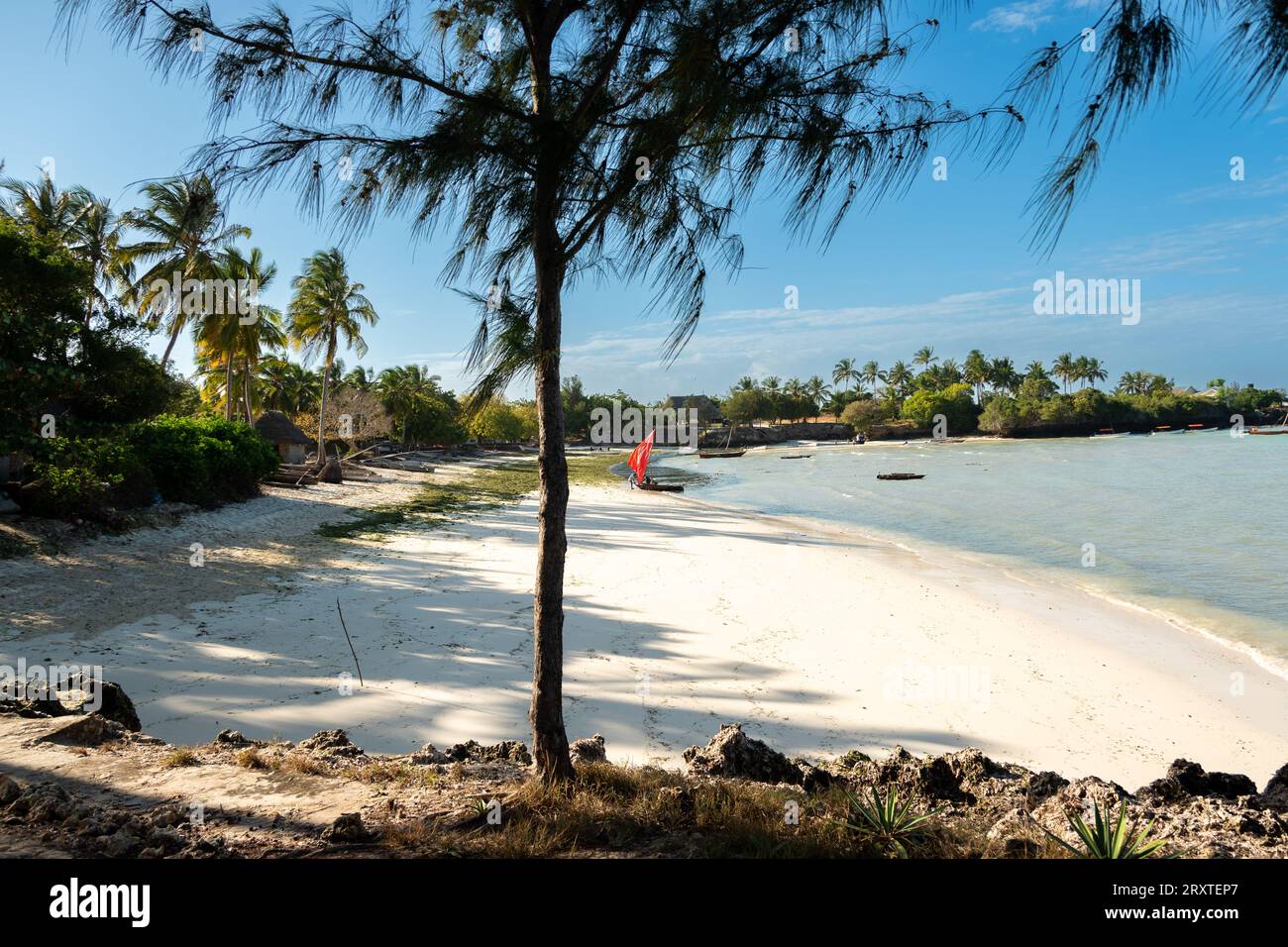 Incredible beach of Zanzibar, Africa Stock Photo - Alamy