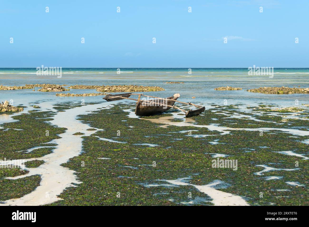 Incredible beach of Zanzibar, Africa Stock Photo - Alamy