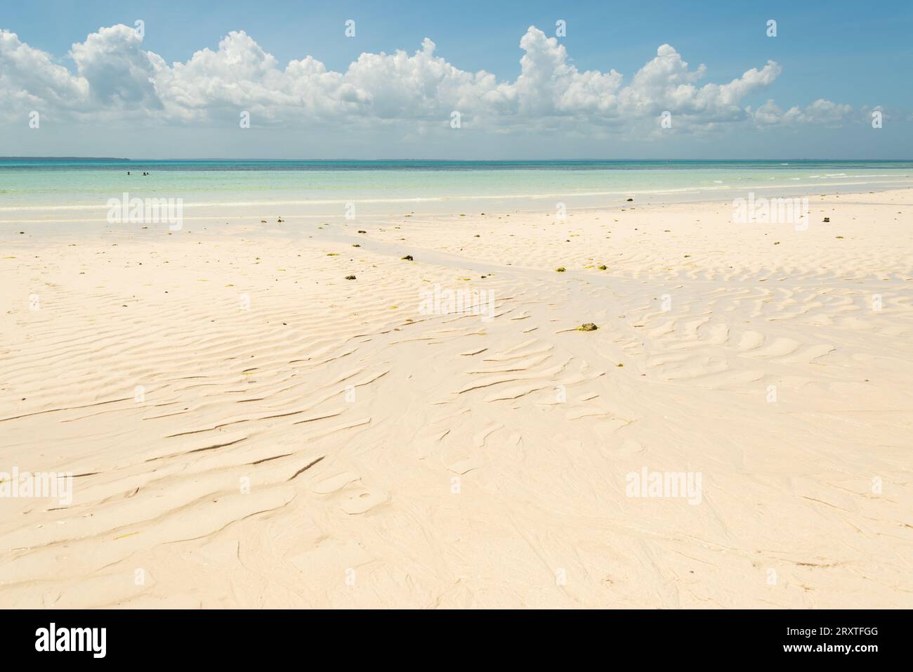 Incredible beach of Zanzibar, Africa Stock Photo - Alamy
