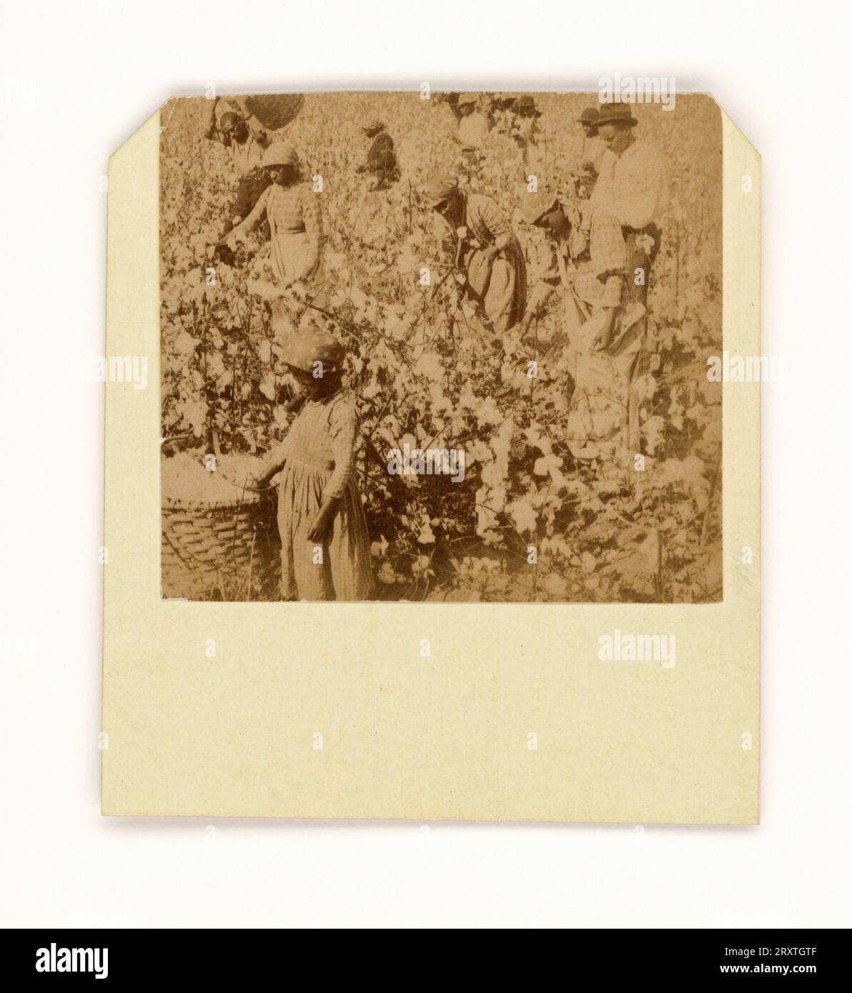 George L. Cook circa 1875 This photograph depicts African American men ...