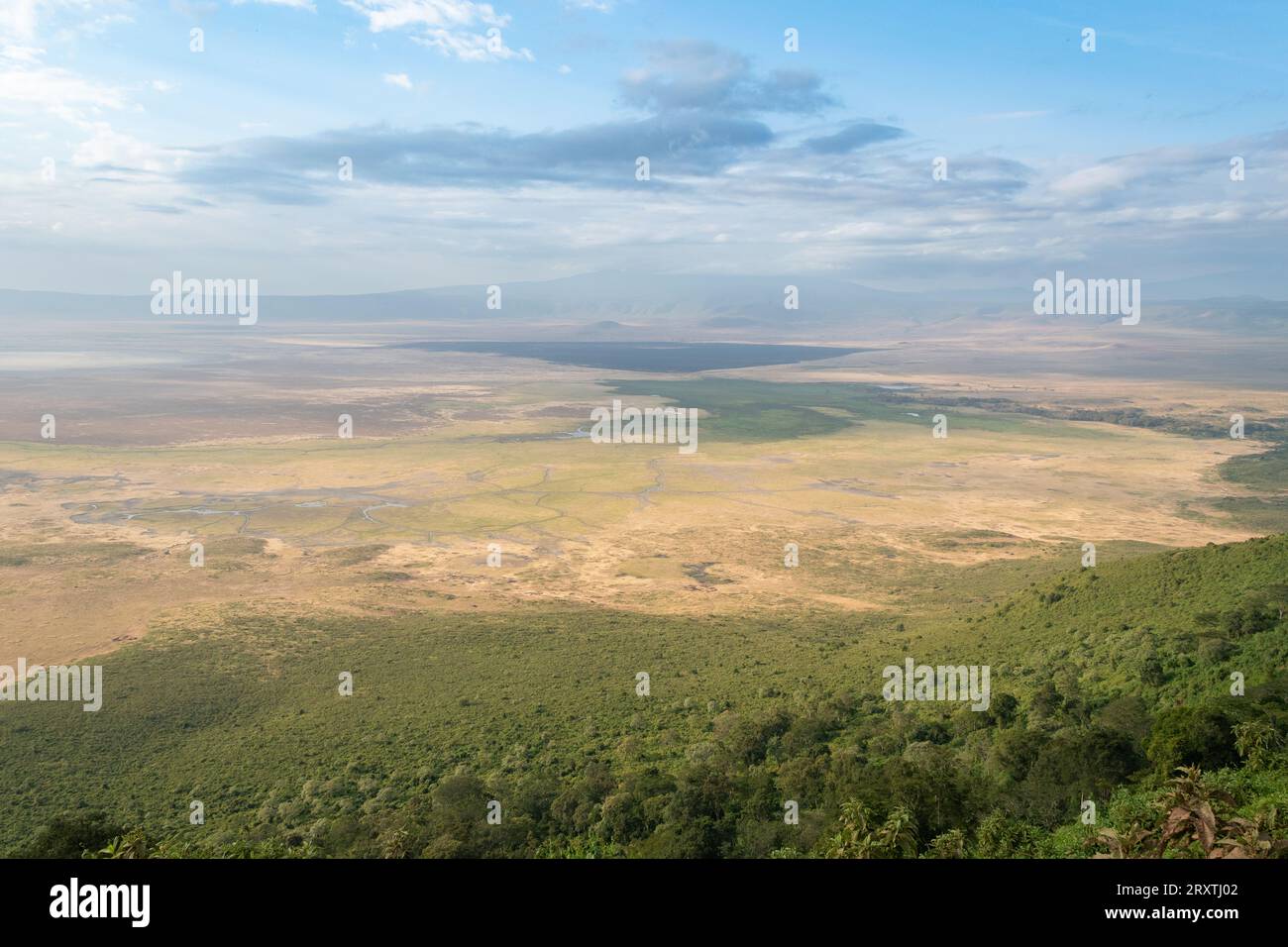 Parque nacional ngorongoro crater hi-res stock photography and images ...