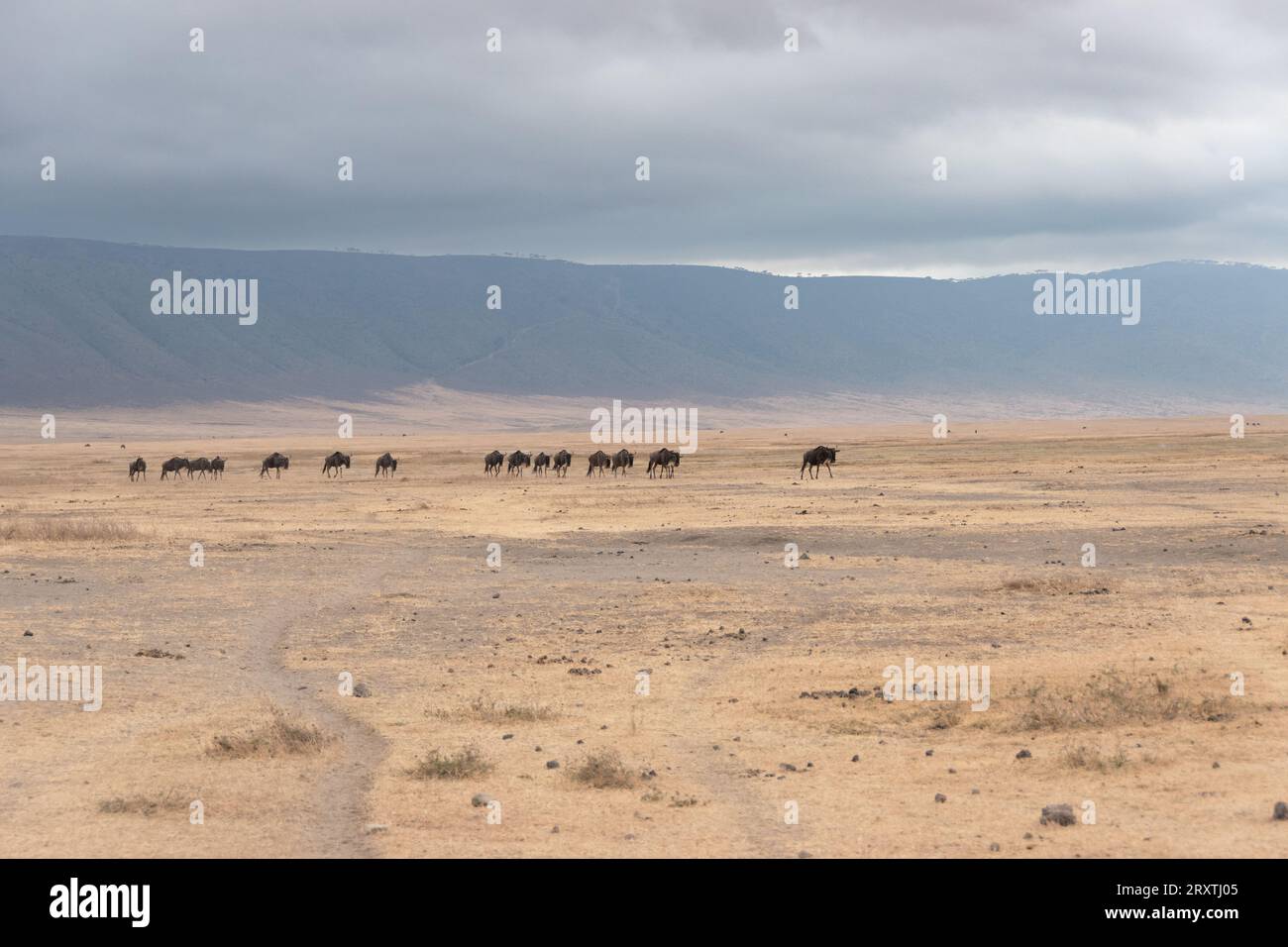 Paisajes de africa hi-res stock photography and images - Alamy