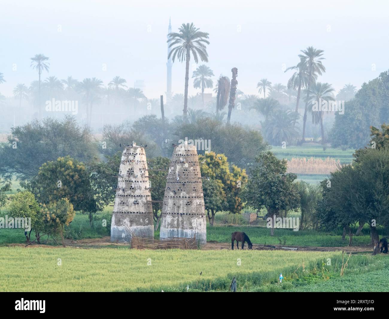 A view of the shoreline along the upper Nile River, amongst some of the ...