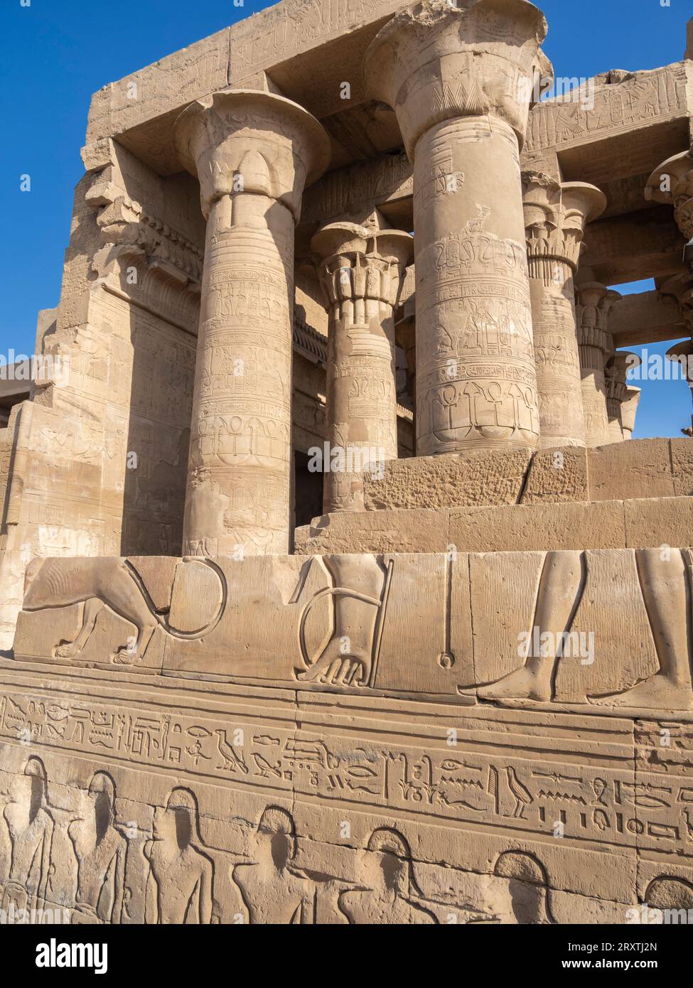 The Temple of Kom Ombo, constructed during the Ptolemaic dynasty, 180 ...