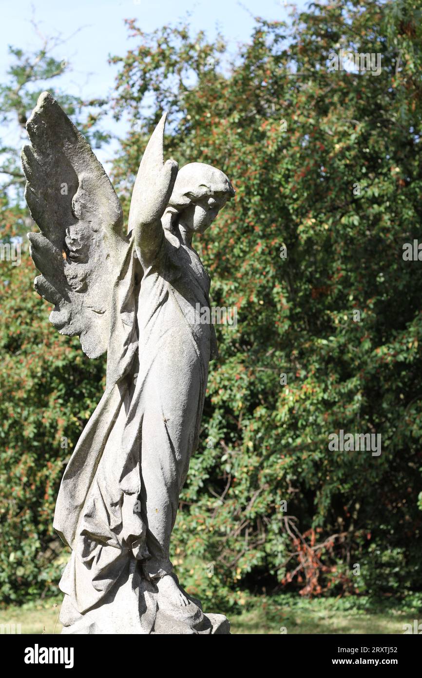Old Photos Of Cemetery Angels