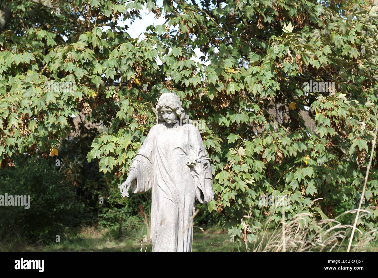 Angel statue in Margravine Cemetery, London Stock Photo - Alamy