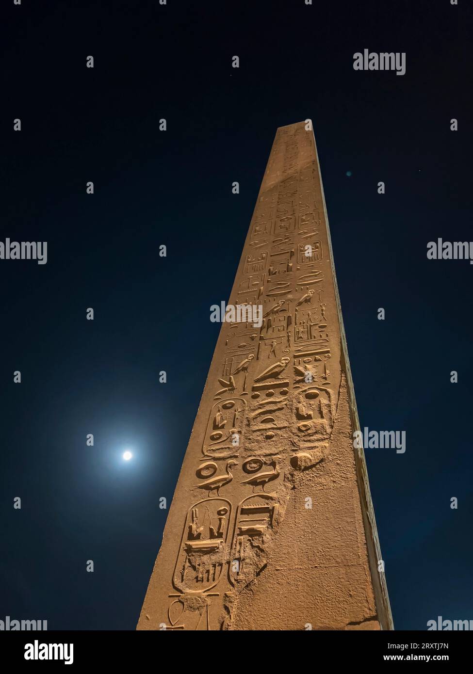 Obelisk at the Luxor Temple, at night under a full moon, constructed ...