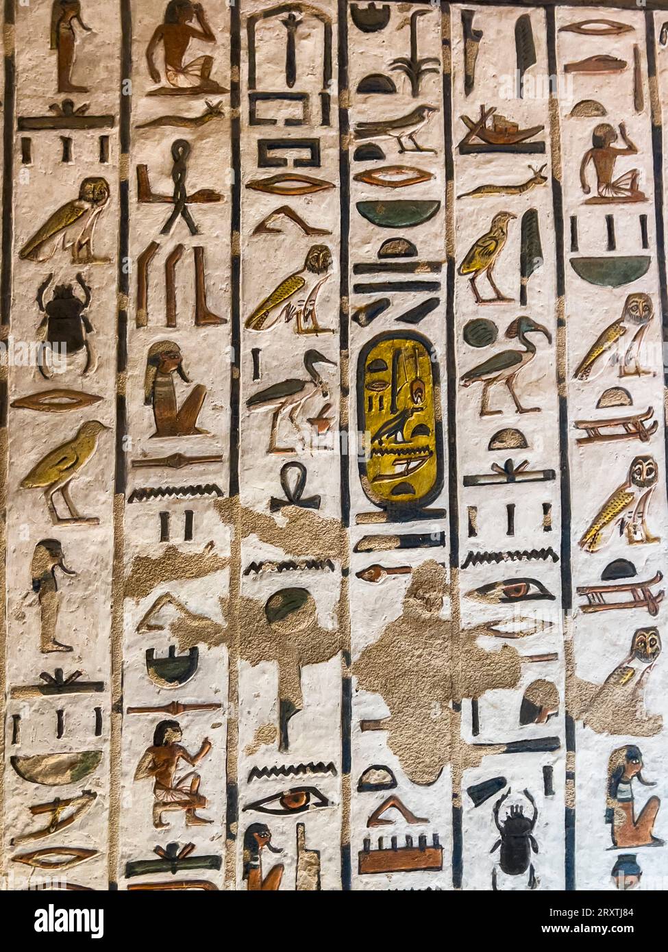 Reliefs and paintings in the tomb of Nefertari, the Great Wife of ...