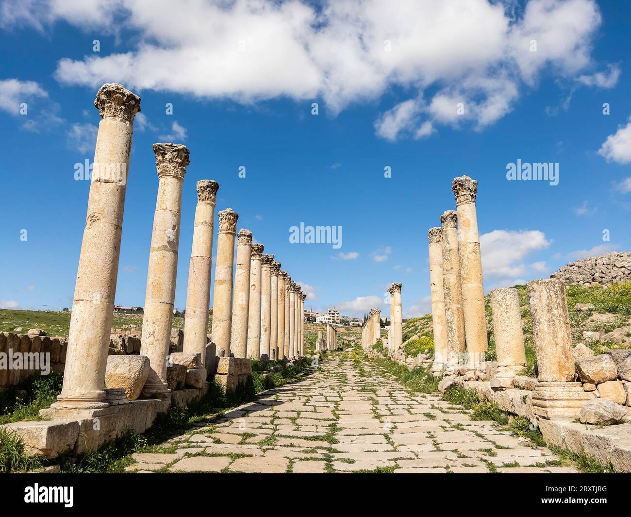 Columns in the ancient city of Jerash, believed to be founded in 331 BC ...