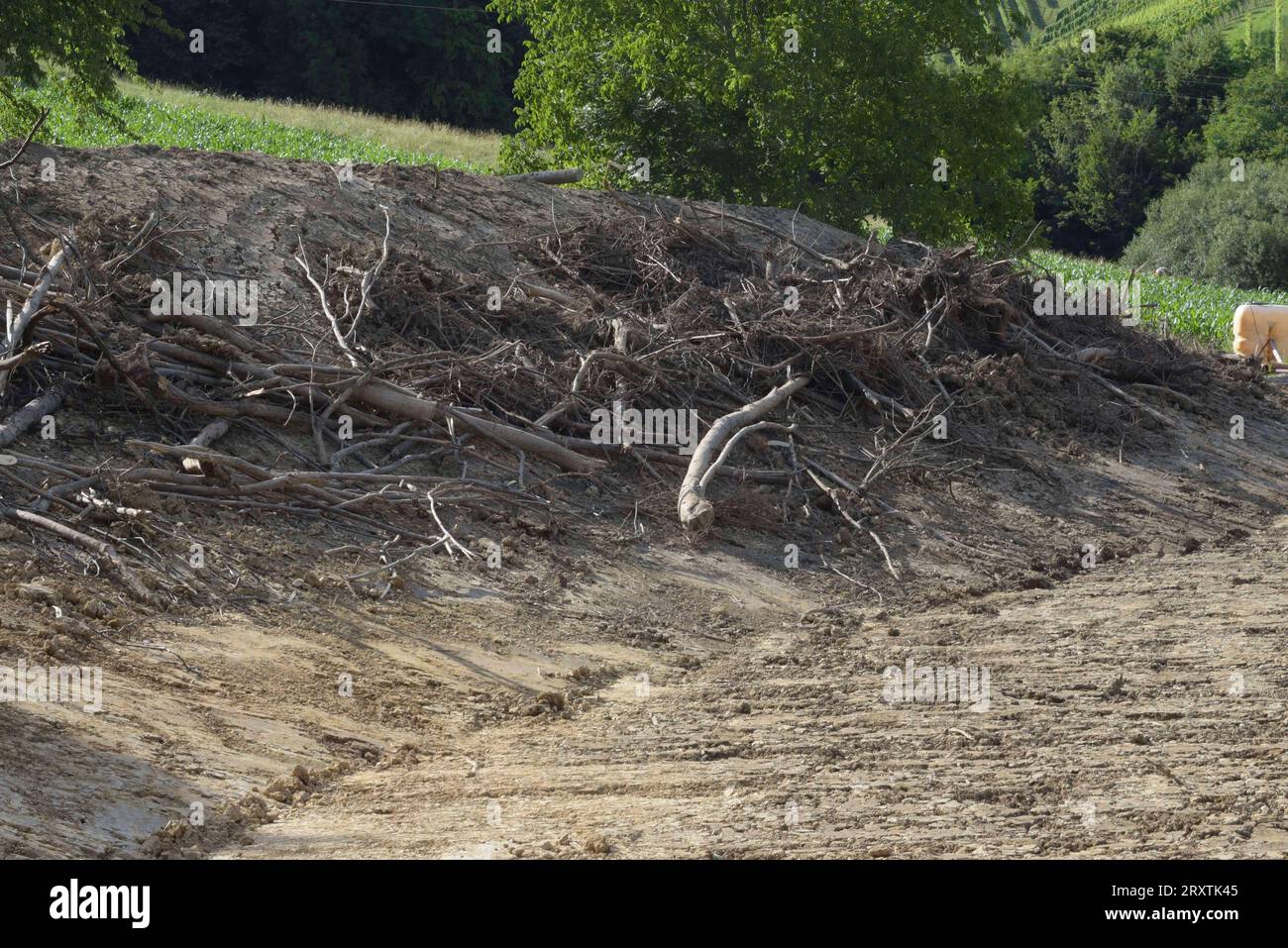 soil on a field in agriculture, usable land and arable farming soil on ...