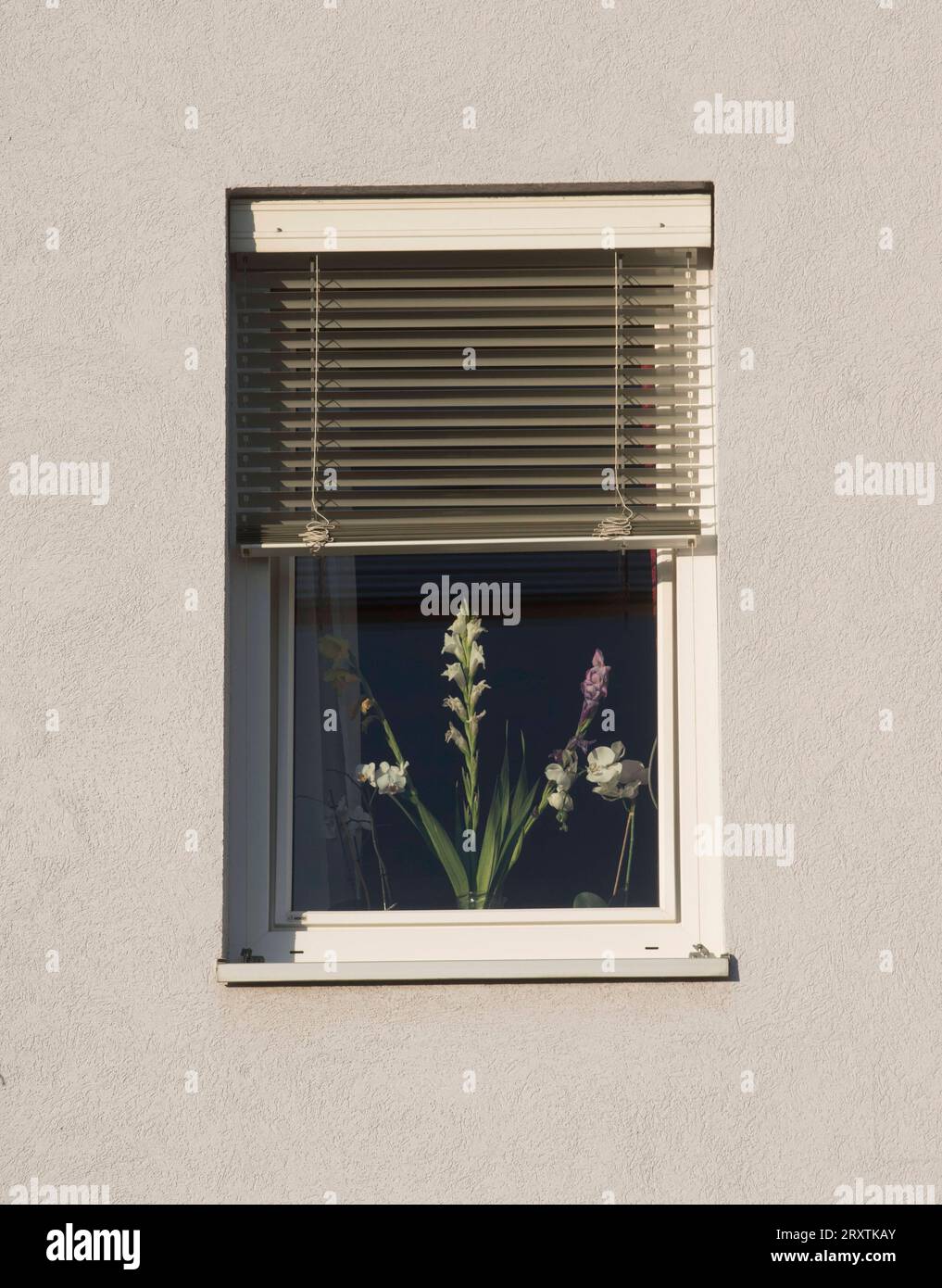 window pane in a building for watching outside and letting in light ...