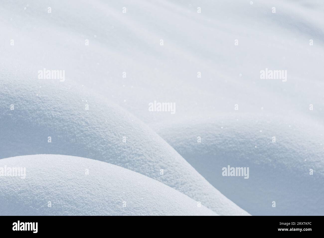 Blanco congelado nevado hi-res stock photography and images - Alamy
