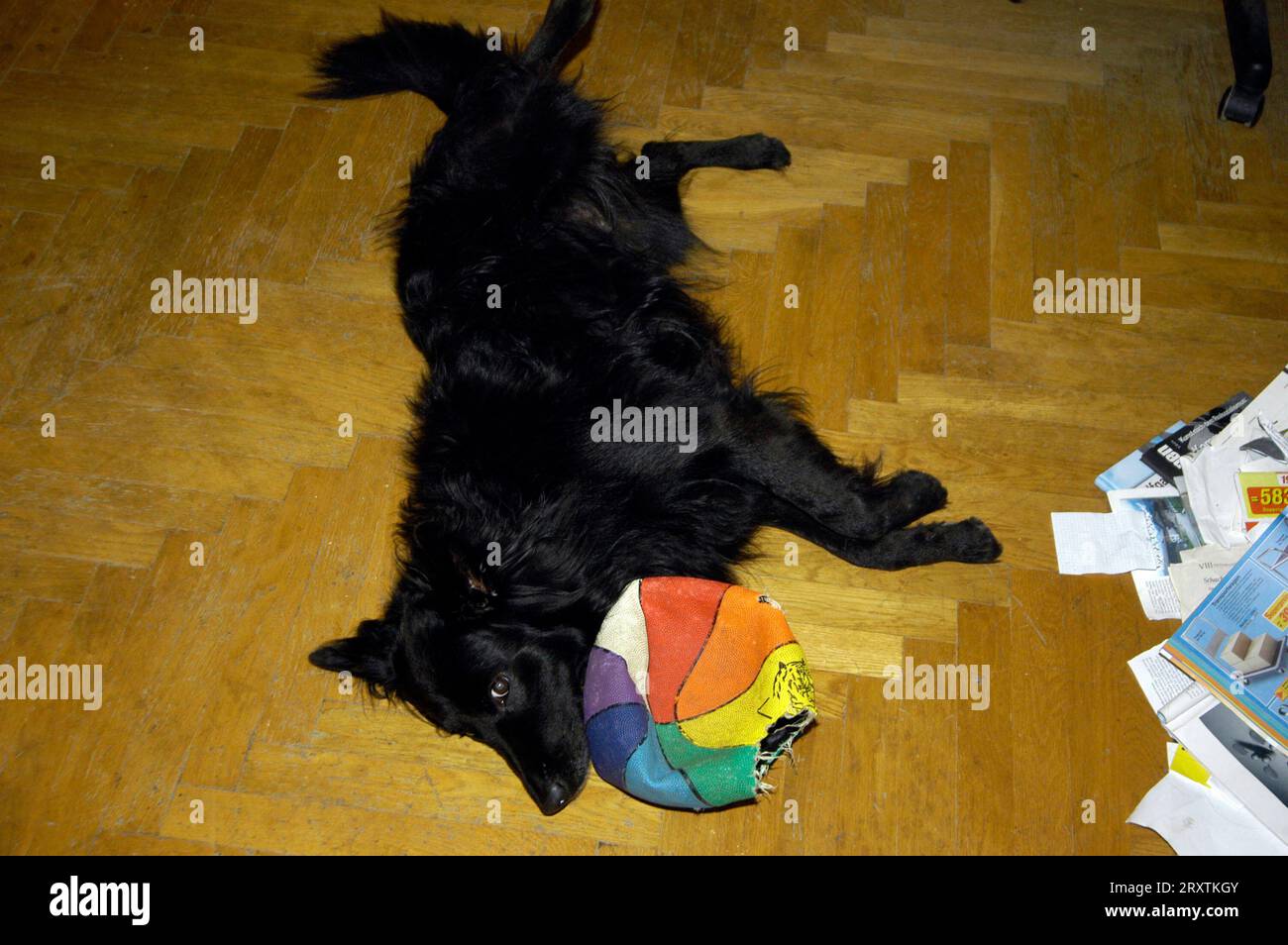 Good for the environment hi-res stock photography and images - Alamy