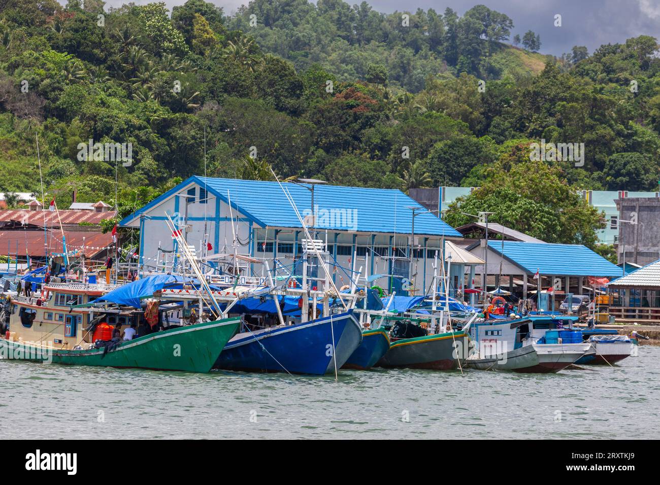 Boats and the harbor in the city of Sorong, the largest city and the ...