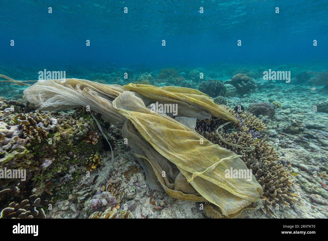 Abandoned ghost net trapped in the shallow reefs off Bangka Island, off ...