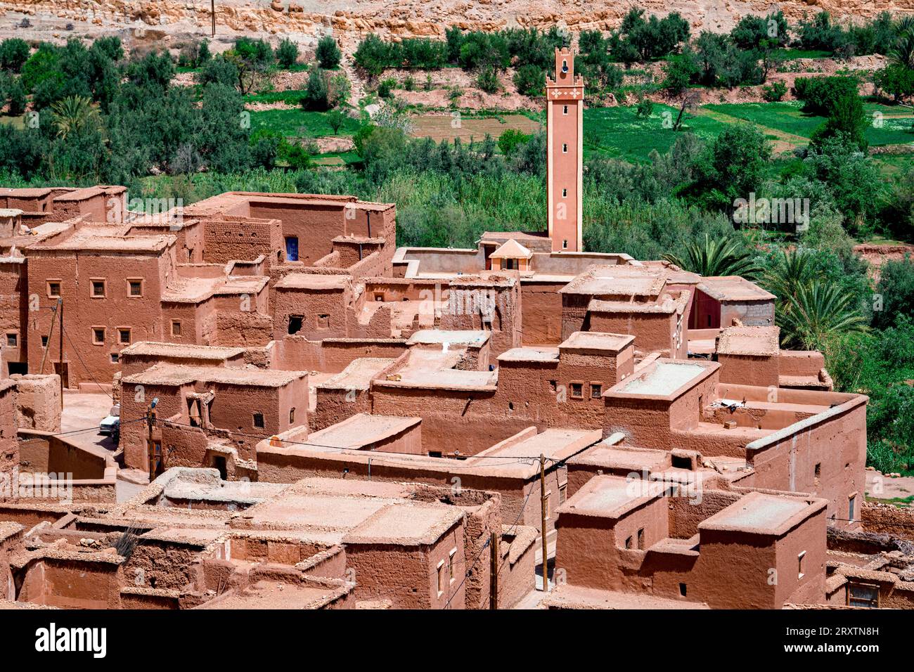 Ancient buildings of a Berber village framed by palm tree groves ...