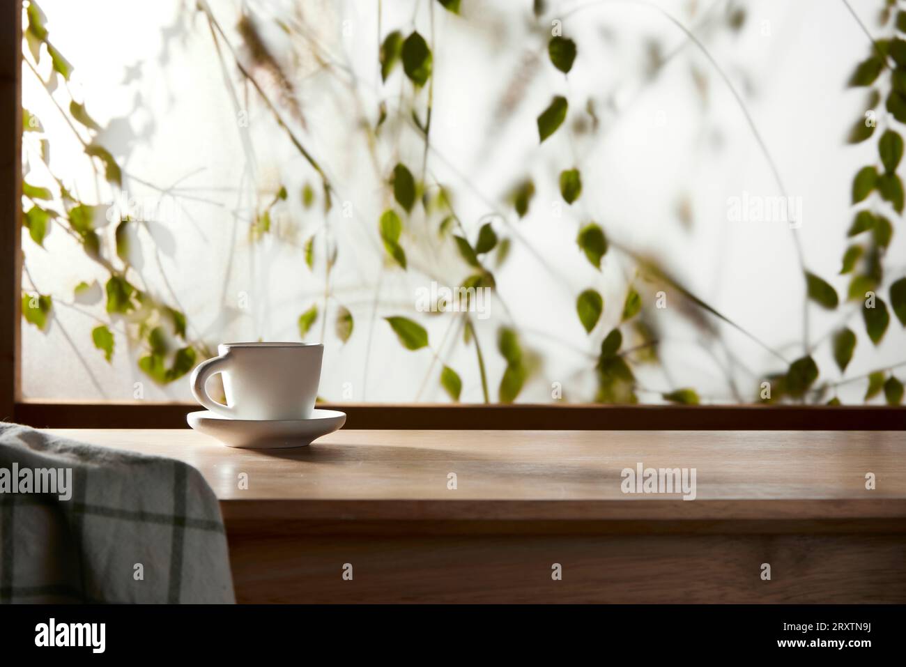 A window view of green leaves in the afternoon sunlight Stock Photo - Alamy