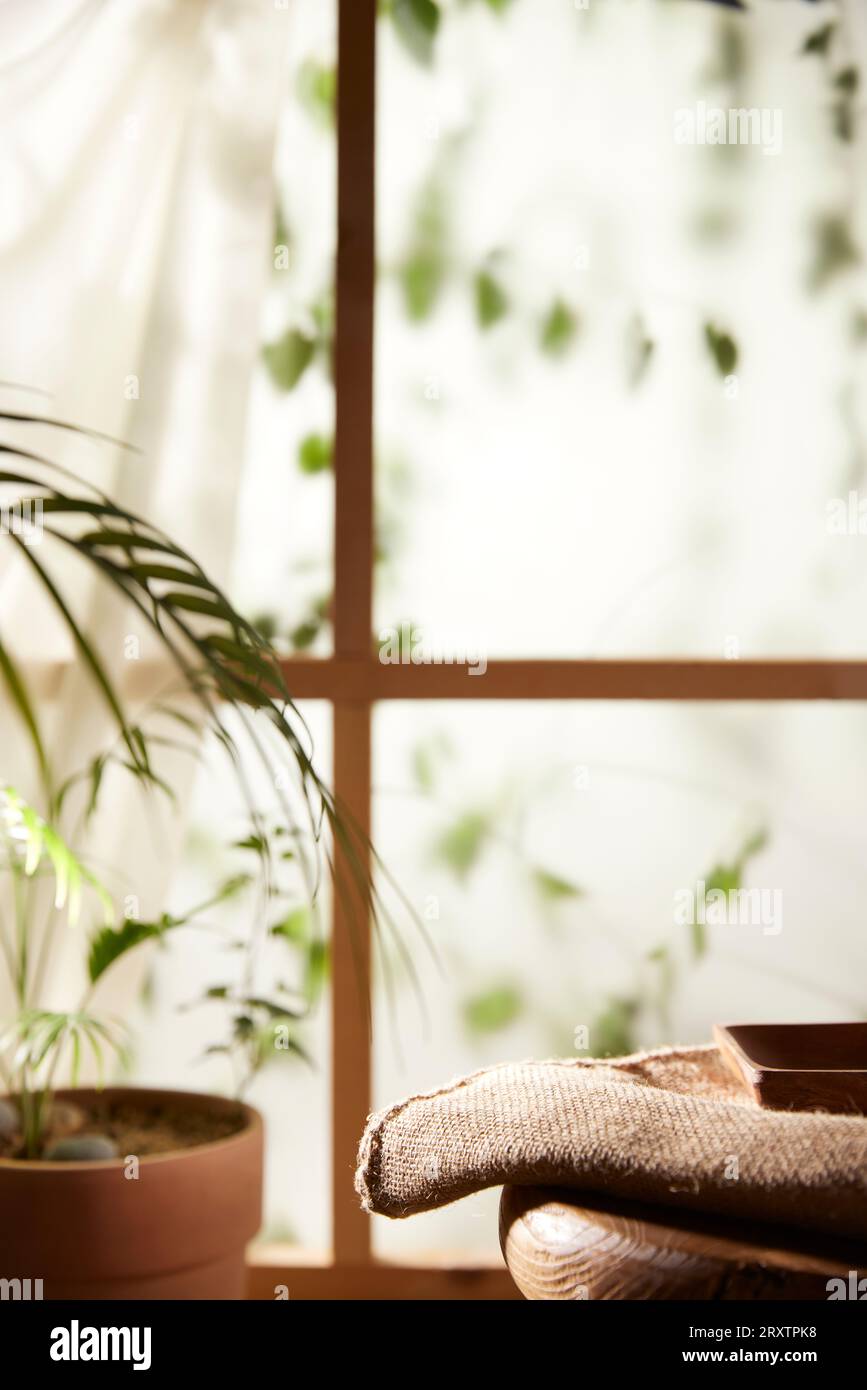 A window view of green leaves in the afternoon sunlight Stock Photo - Alamy