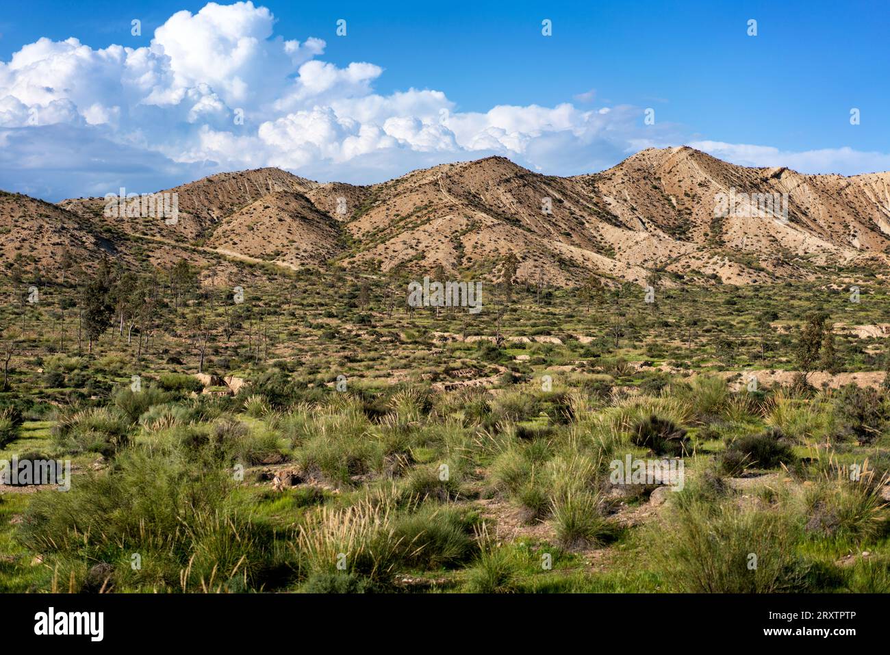 Tabernas hi-res stock photography and images - Alamy