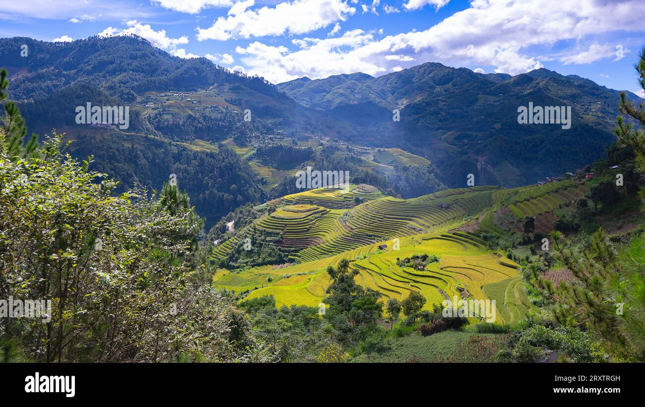 Landscape with green and yellow rice terraced fields and blue cloudy ...