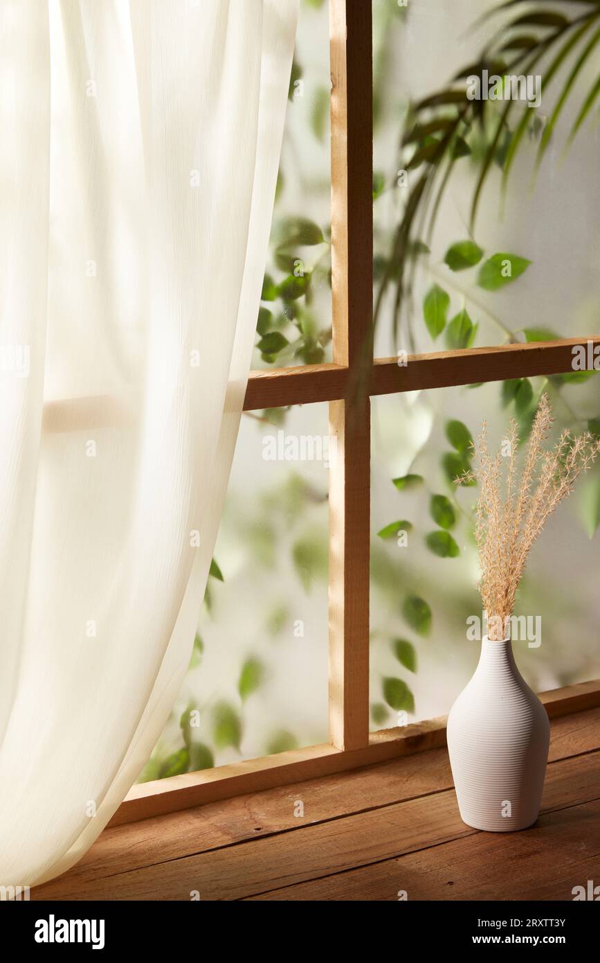 A window view of green leaves in the afternoon sunlight Stock Photo - Alamy