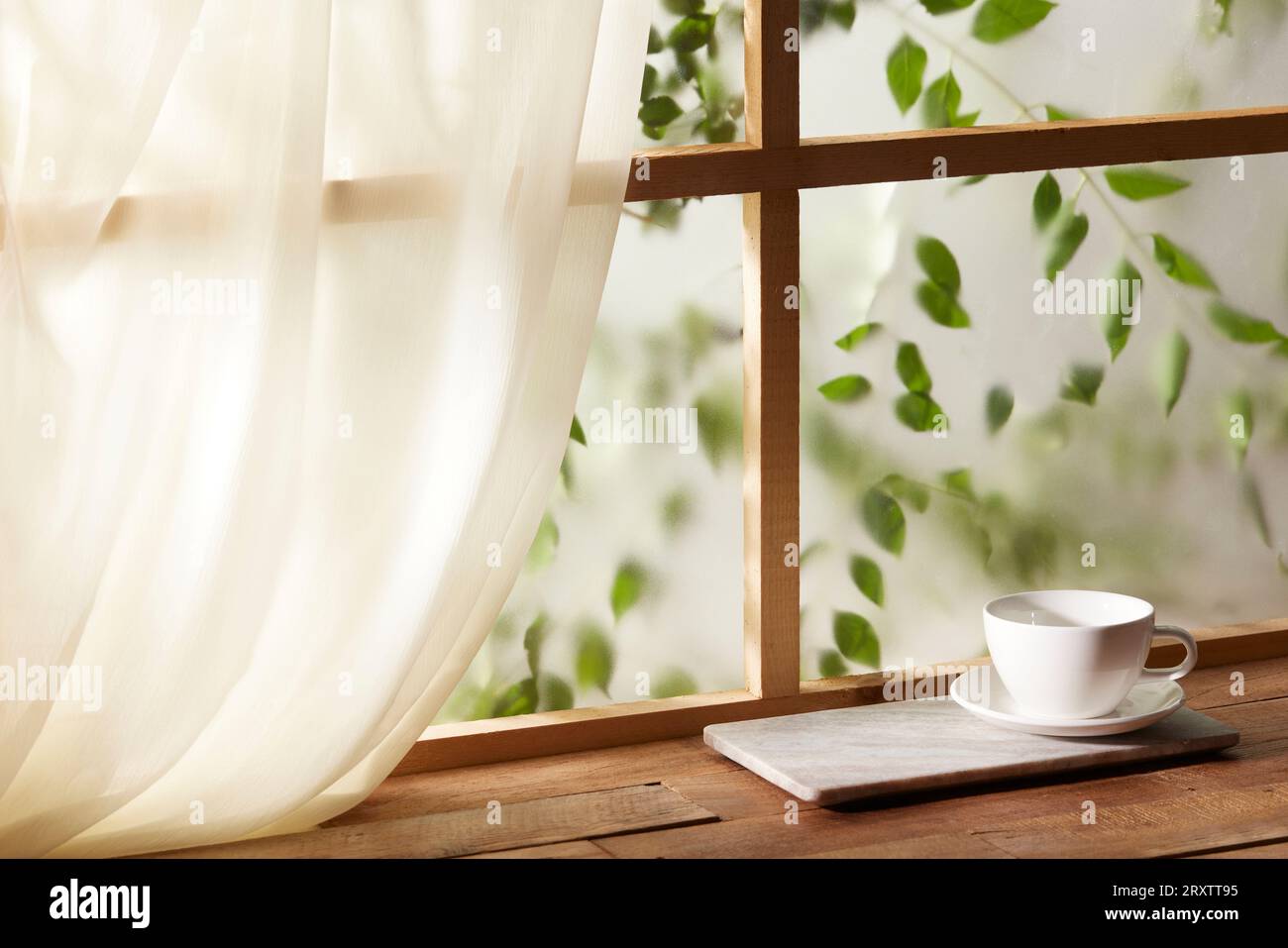A window view of green leaves in the afternoon sunlight Stock Photo - Alamy